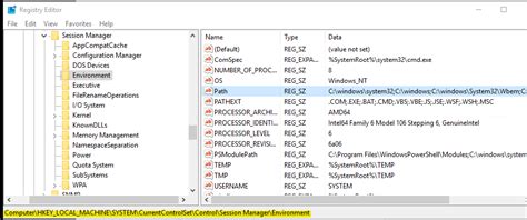 While Installing Sql Server 2019 Developer Edition Download Media In