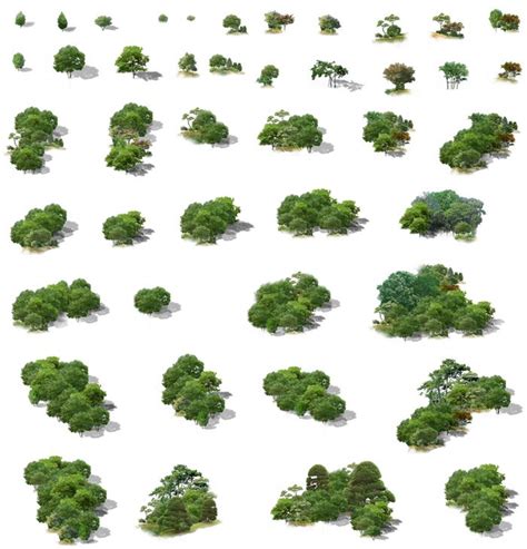 포토샵소스 조경 평면입면소스 나무소스 포토샵소스 판넬 정원 건축 포토샵 나무