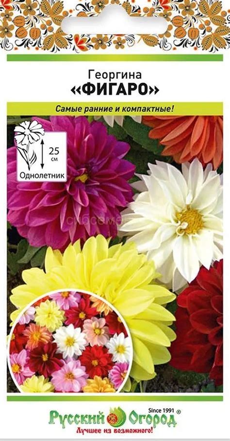 ЦВЕТЫ ОДНОЛЕТНИЕ — Семена для Сибири