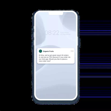 System Integrators Infobip Partnership Program