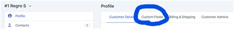 E Invoicing European Compliant Invoicing For Perfex CRM By Lenzcreativee