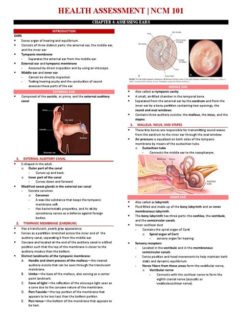 Assessing Ears Pdf Ear Hearing