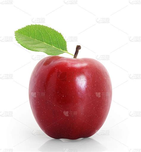 红苹果图片其他图片图片素材 花瓣网