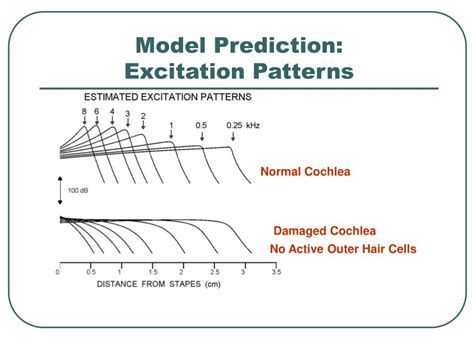 Ppt Simulation Of A Cochlear Model As A Descriptive Tool For Normal