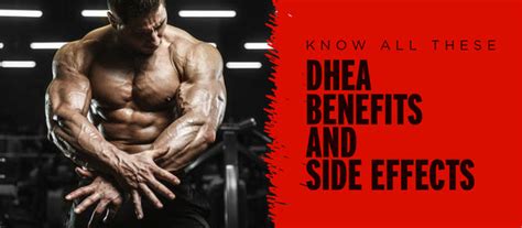 Know All These Dhea Benefits And Side Effects