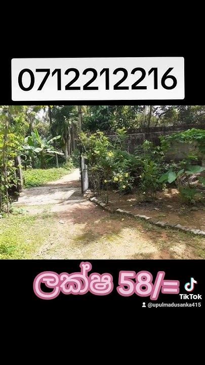 කිරිදිවැල නගරයෙන්ම නිවසක් විකිණීමට ලක්ෂ 58 Youtube