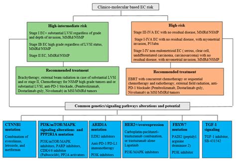 Endometrial Cancer Molecular Characterization The Key To Identifying High Risk Patients And