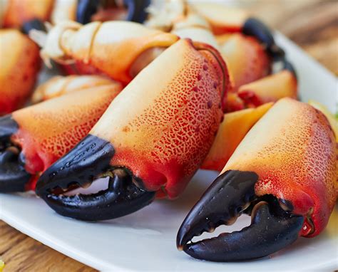 Atlanta Stone Crab Claws
