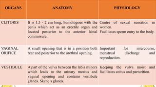 Anatomy And Physiology Of Female Reproductive Systempptx