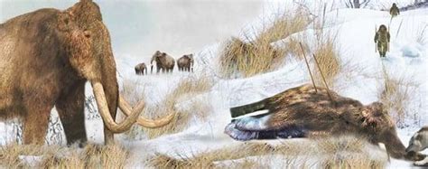 Late Quaternary Proboscidean Sites In Africa And Eurasia With Possible Or Probable Evidence For