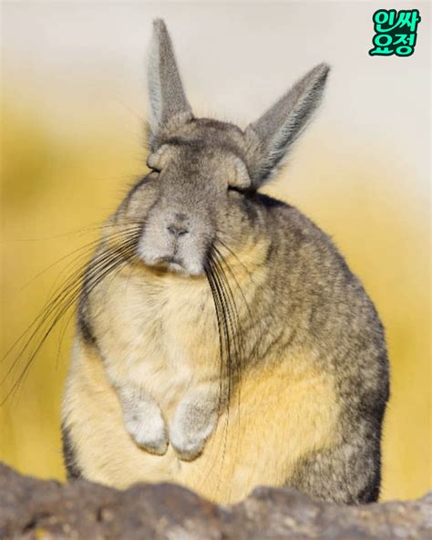 인싸요정🧚🏻 연휴 끝난 직장인 학생 사진 유출됨ㄷㄷ 아니 누가 우리 도촬함ㅋㅋㅋㅋ 연휴 설연휴 연휴끝 휴가 설 설날 좋아요 팔로우