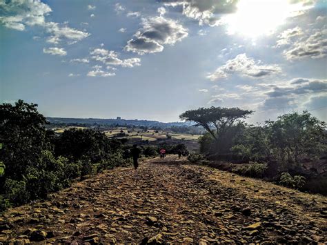 Funding Trees Vs Global Warming WeForest