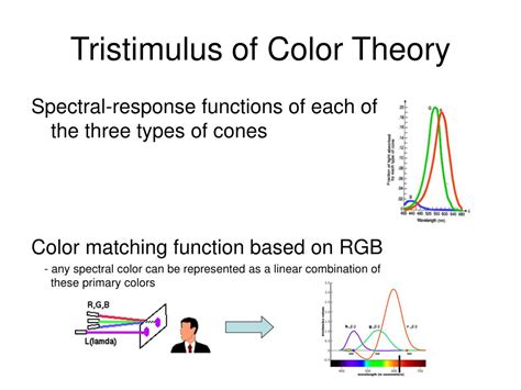 Ppt Cpsc 641 Computer Graphics Image Formation Powerpoint