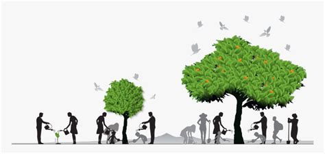 Growth Of Tree HD Png Download Transparent Png Image PNGitem