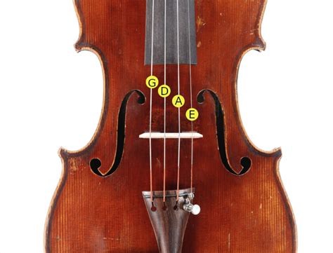 Exploring The Violin Open Strings For Beginners 2024