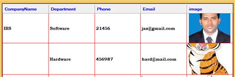 C Adding Image From DataGridViewImageColumn To Database In Windows Application Stack Overflow