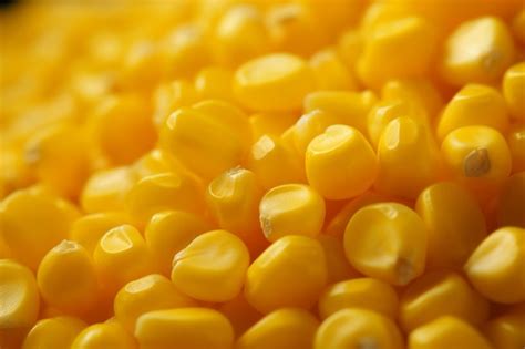 Corn Kernels Closeup Highlighting The Texture And 00255 01 Premium Ai