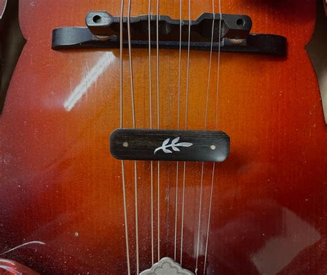 String Suppressor W Fern Inlay Hill Country Stringworks