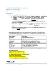 Unit 3 Lab Assignment Docx Unit 3 Lab Skeletal System Assignment Demonstrate Skeletal System