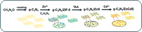 Schematic Illustration Of The Construction Of G C3n4zncds Download