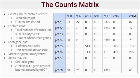 Single Cell Sequencing Analysis Single Cell Sequencing Data