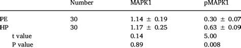 Protein Expression Of Mapk 1 And P Mapk 1 In Pe And Hp Groups Download Scientific Diagram