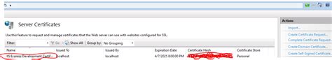 Ssl Web App Running On Localhost Using Iis Express Development