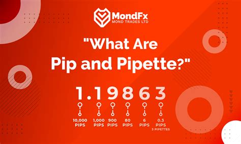 What Are A Pip And A Pipette Mondfx