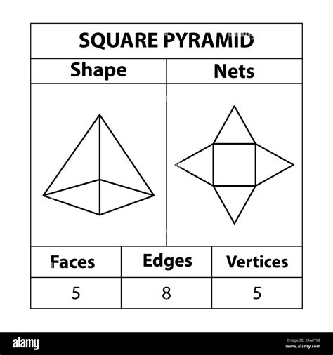 Square Pyramid Nets Faces Edges And Vertices Geometric Figures Are