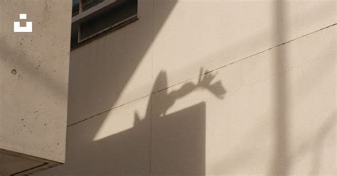 건물에 있는 거리 표지판의 그림자 사진 Unsplash의 무료 건물 이미지