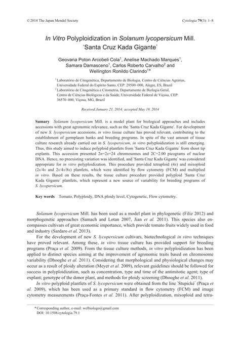 Pdf In Vitro Polyploidization In Solanum Lycopersicum Mill Santa Cruz Kada Gigante