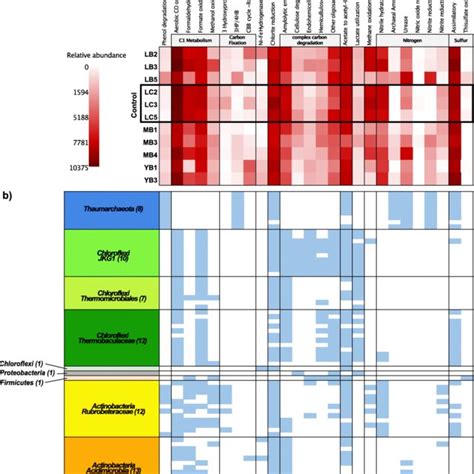 Metabolic Potential Prediction Across Samples And Mid To High Quality