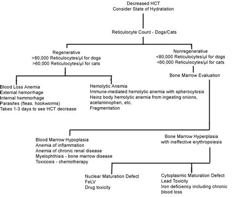 Interpretation Of The Hemogram Introduction White Cells Red Cells Platelets Ivis