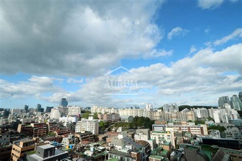 강남 풀옵션 단기임대 전망 좋은 도곡동 원룸 Sk허브프리모 네이버 블로그