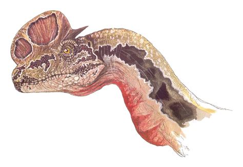 Jurassic Park Concept Art Dilophosaurus Dilophosaurus Jurassic Park