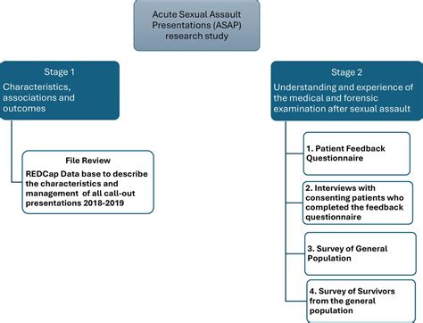 Understanding And Experience Of The Medical Forensic Examination After