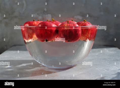 Ducking For Apples Yellow Plastic Duck Enjoying A Good Splash About In A Bowl Of Water And Red