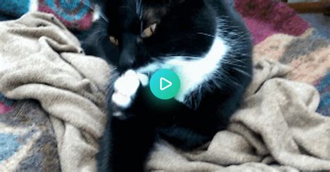 Lick Album On Imgur