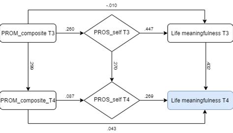 Path Model 2 Of The Relations Among Prosocial Moral Reasoning T3 T4