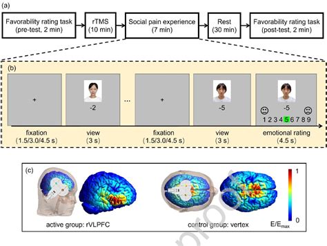 Figure 1 From Enhancing Ventrolateral Prefrontal Cortex Activation