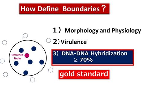Streamlined Molecular Methods For Microbial Identification A Practical Guide Introduction To