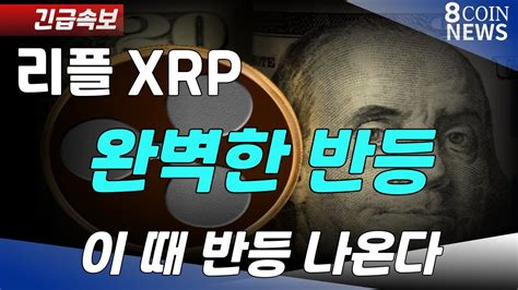 리플 완벽한 반등 이 때 반등 나온다 Youtube