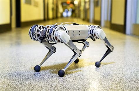 Basics Of Legged Robots
