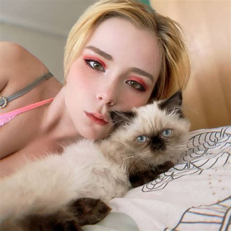 Sweet Fox 64 фото