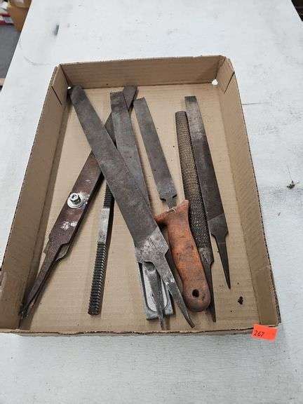 Assorted Files And Rasps Isabell Auction
