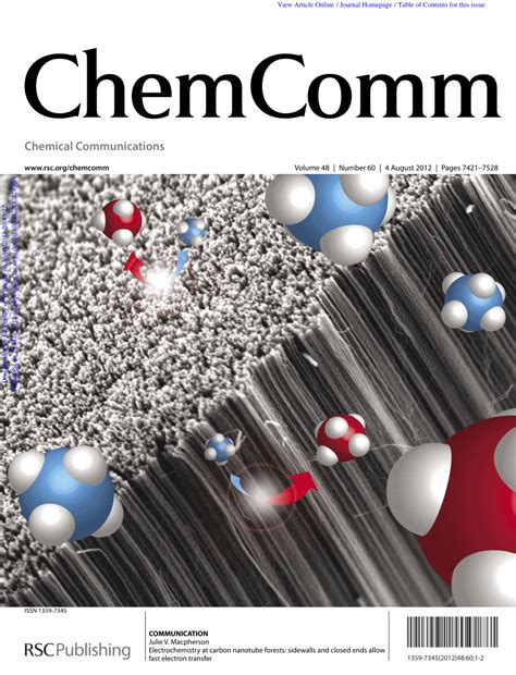 Pdf Cheminform Abstract Electrochemistry At Carbon Nanotubes Perspective And Issues
