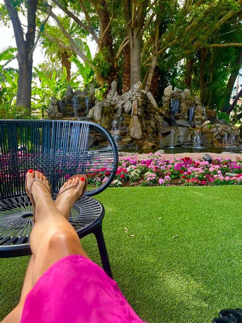 Brande Roderick On Twitter Its My Birthday Onlyfans Com Branderoderick