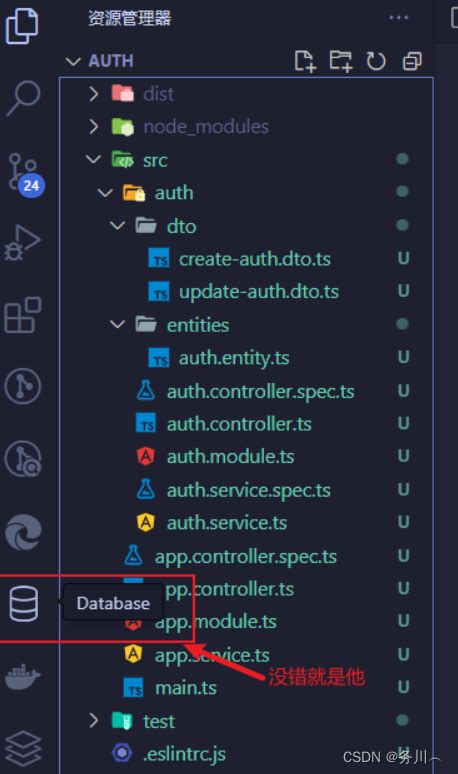 nestjs使用jwt完成注册、登录、全局身份验证 nestjs jwt csdn博客