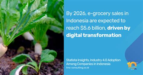 How Crm Is Leading Fmcg Digital Transformation In Indonesia Tms Consulting