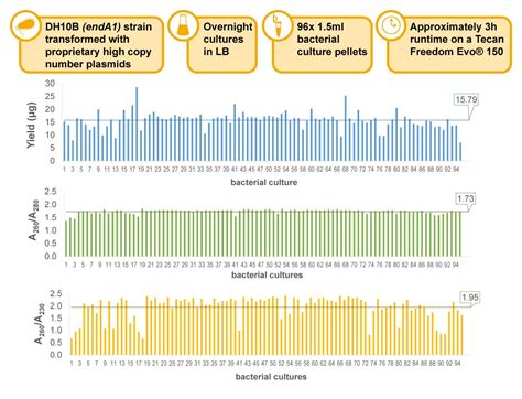 Its Time To Automate Your Plasmid Purification Promega Connections